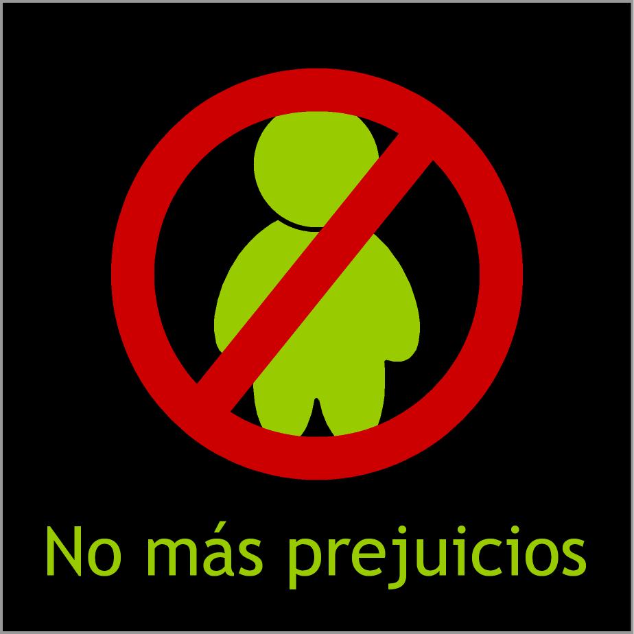 Brainsesudo: ¿son validos los prejuicios, obviando los "negativos" y ...